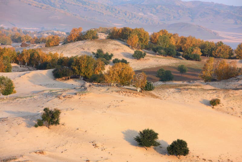 Desertification Prairie and Autumn Trees Stock Image - Image of ...