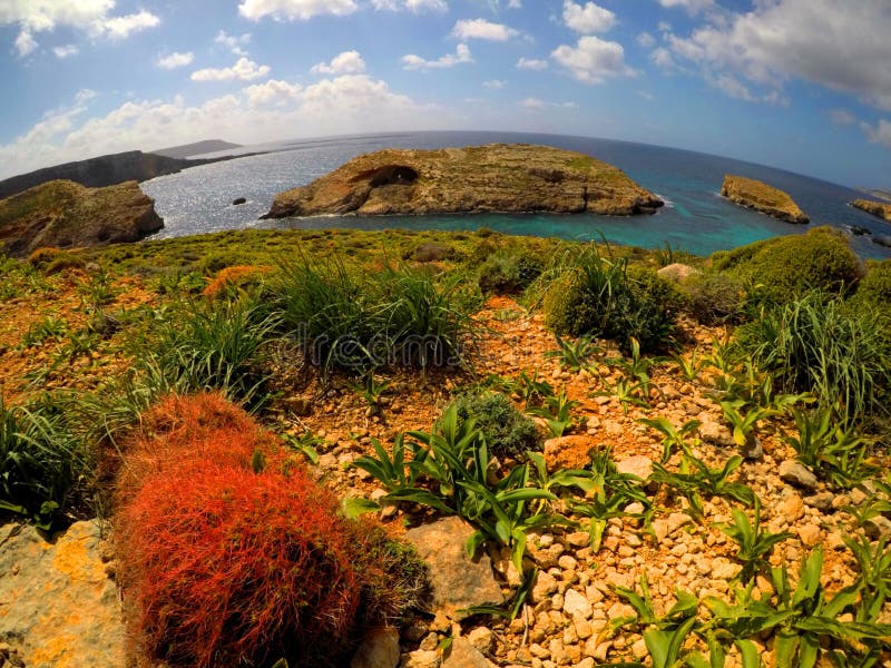 Desertlife stock photo. Image of malta, desert, sunny - 112838622