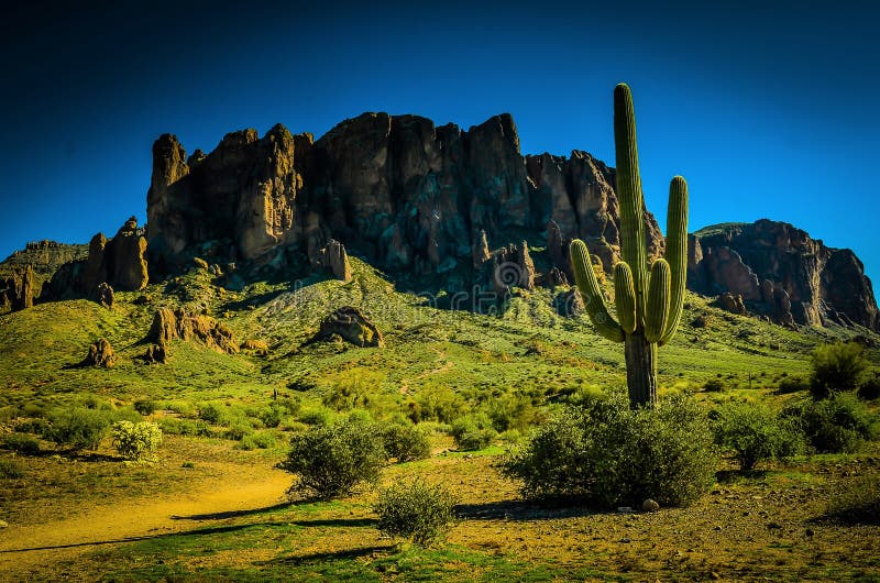 Deserto Dell'Arizona Sonoran Fotografia Stock - Immagine di deserto ...
