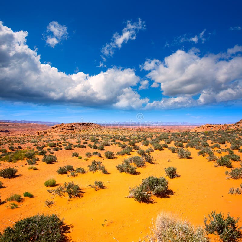Deserto Do Arizona Perto Do Rio Colorado EUA Imagem de Stock - Imagem ...