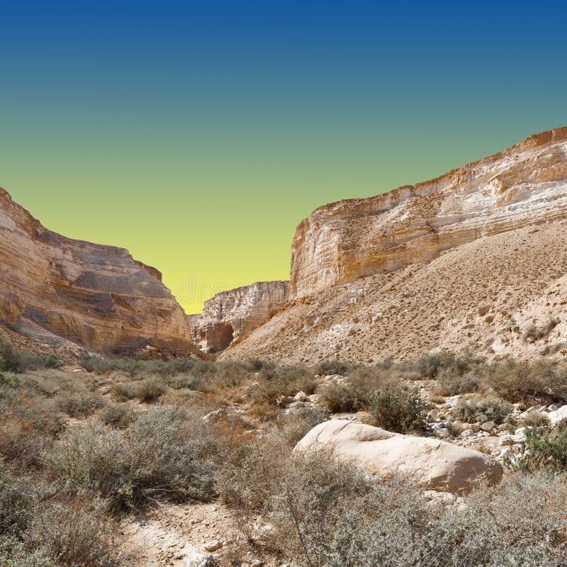 Por do sol no deserto foto de stock. Imagem de noite - 60007990