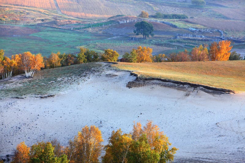 Deserts in autumn stock image. Image of plant, china - 24424933