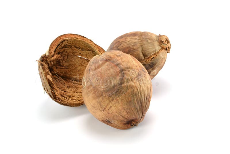 Desiccate Coconut on White Background Stock Image - Image of nutrition ...