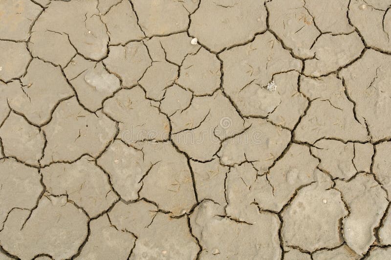 Desiccation crack stock image. Image of fissure, crack - 18353997