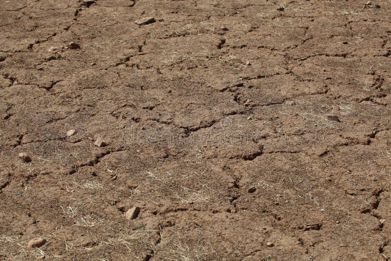 Desiccation Cracks in Farming Soil Stock Image - Image of farming ...