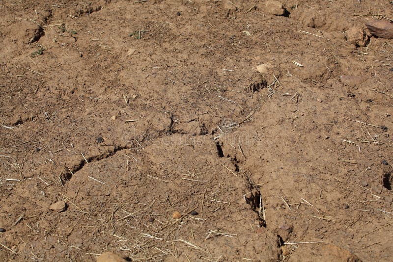 Desiccation Cracks in Farming Soil Stock Image - Image of danger, water ...