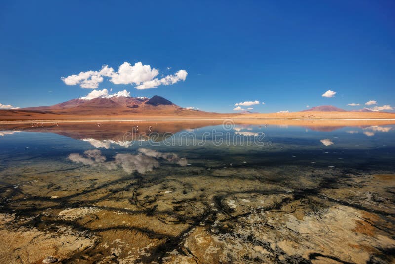 Desierto De Bolivia Atacama Imagen de archivo - Imagen de paisaje ...