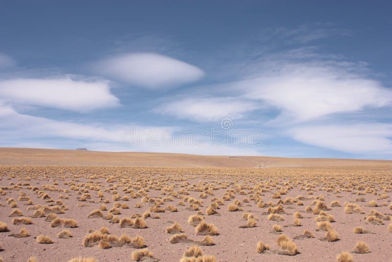 Silol Fotos de stock - Fotos libres de regalías de Dreamstime