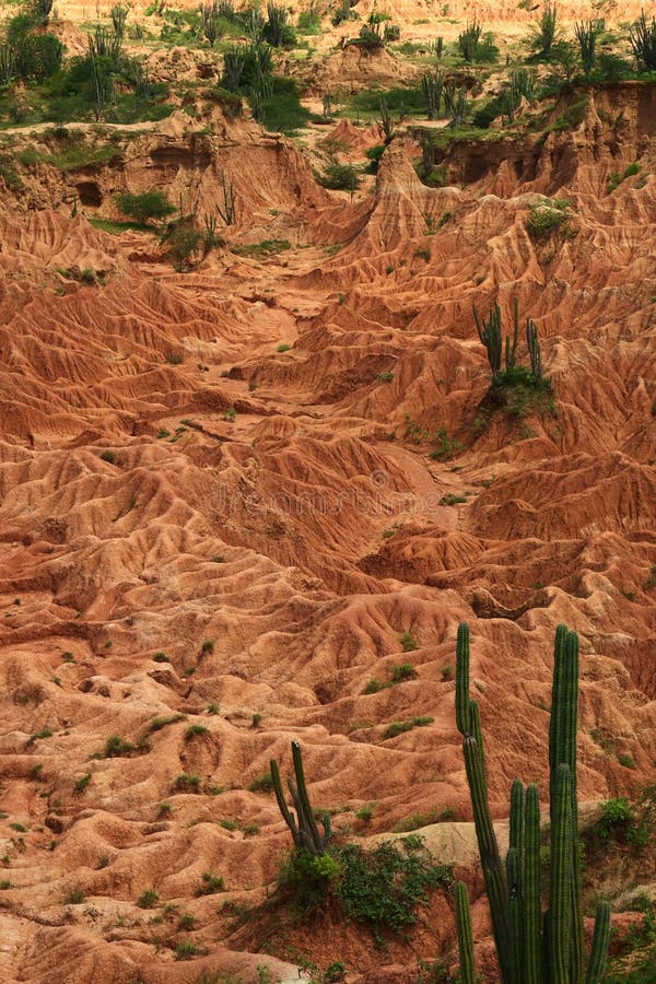 Desierto De Tatacoa, Colombia Imagen de archivo - Imagen de arcilla ...