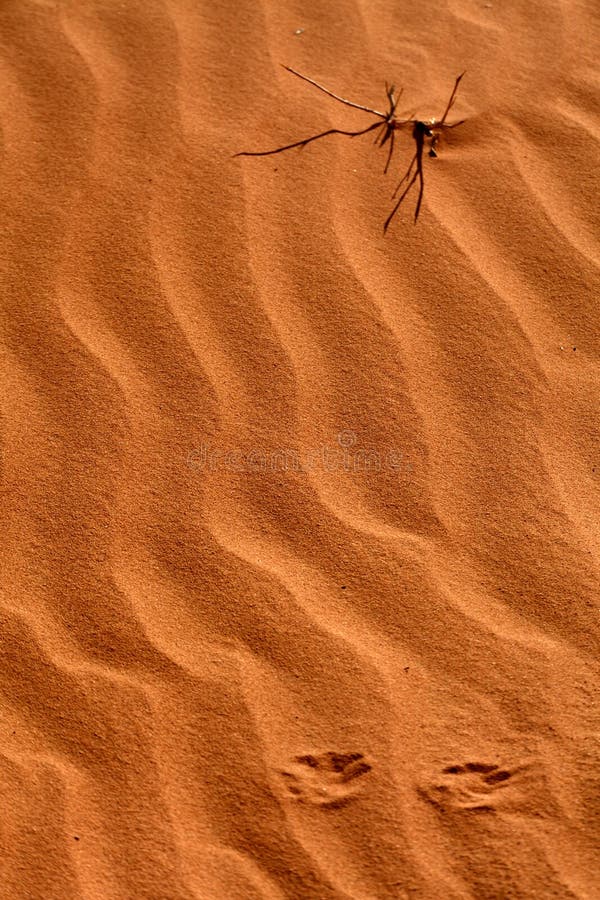 Desierto libio foto de archivo. Imagen de seco, cielo - 18510208