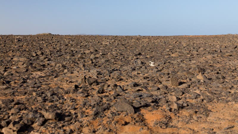 Desierto rocoso foto de archivo. Imagen de roca, aridez - 17966324