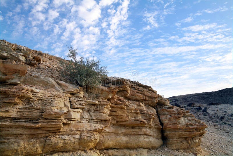 Desierto rocoso foto de archivo. Imagen de barranca, israel - 51889738