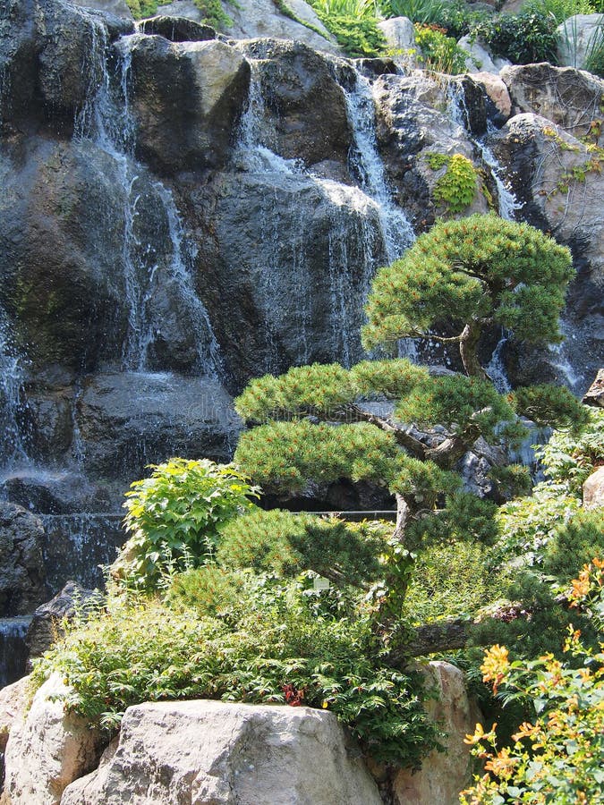 Design and Architectural Solutions in the Organization of Park Space ...