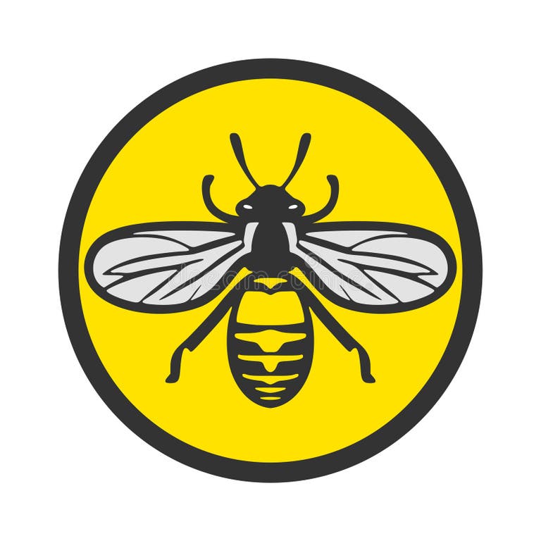 Design of bee draw stock vector. Illustration of graphic - 318395618