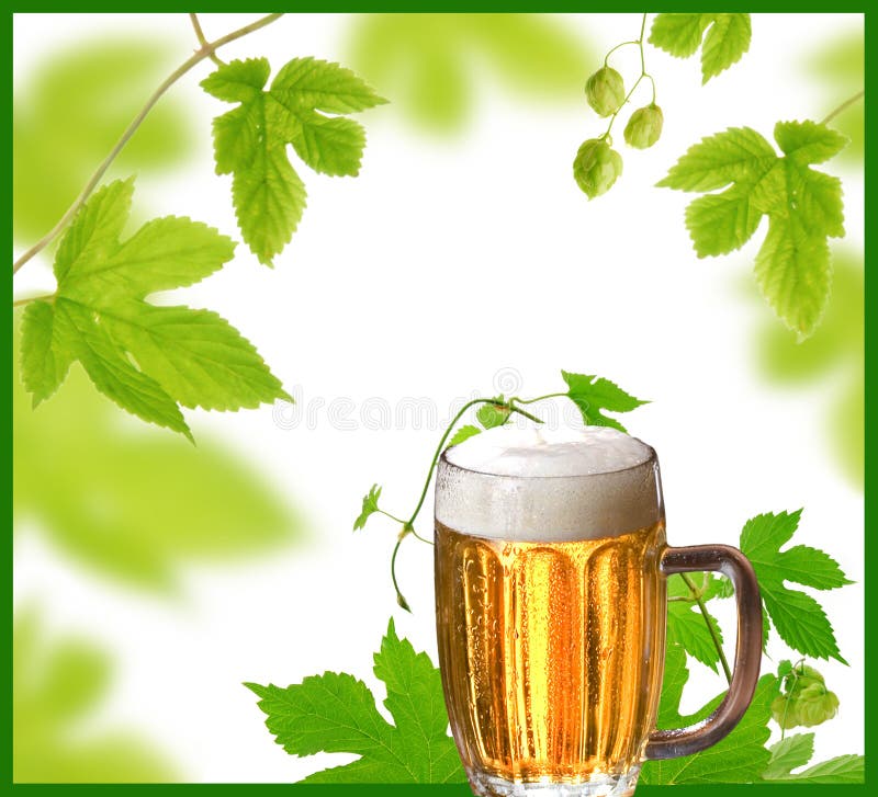 Design of beer and hops stock image. Image of decoration - 13273459