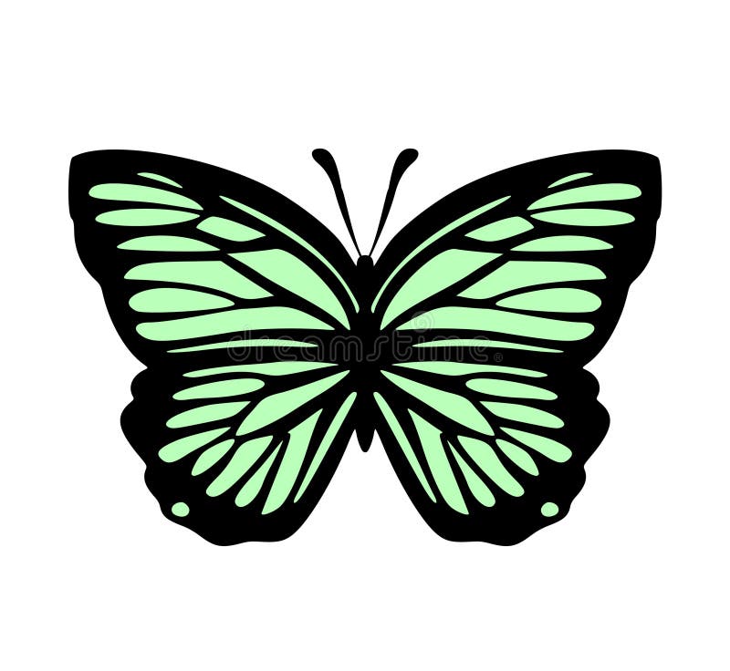 Design of butterfly draw stock illustration. Illustration of butterfly ...