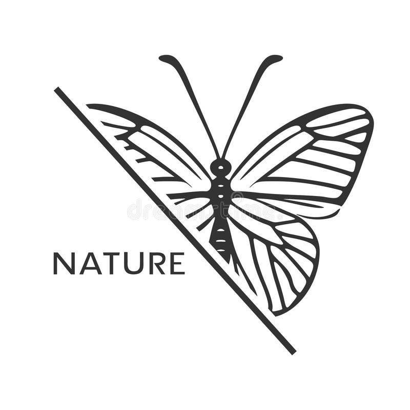 Design of butterfly draw stock vector. Illustration of butterfly ...