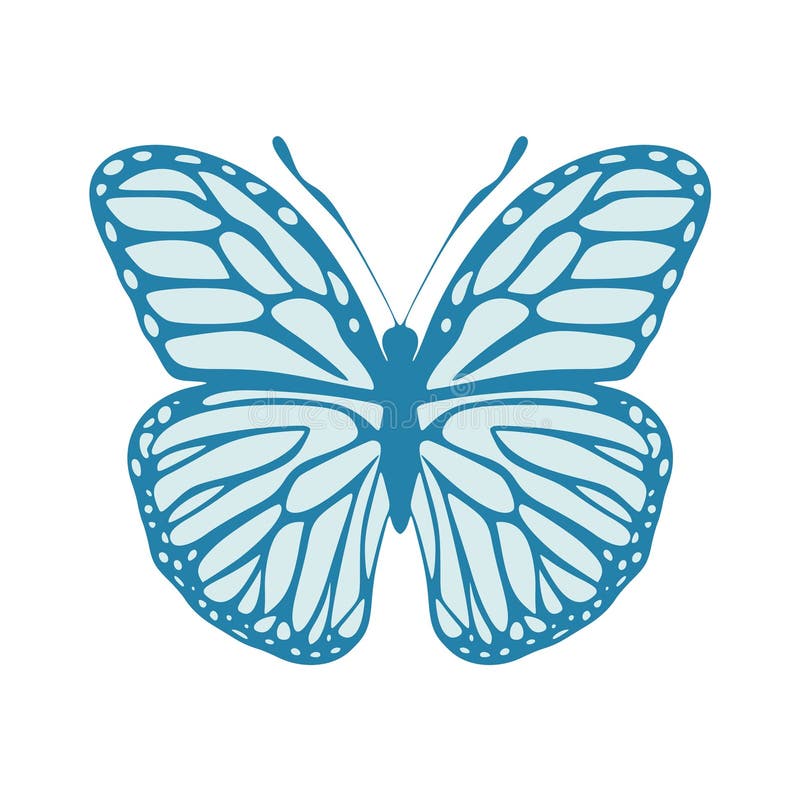 Design of butterfly draw stock vector. Illustration of soft - 337830838