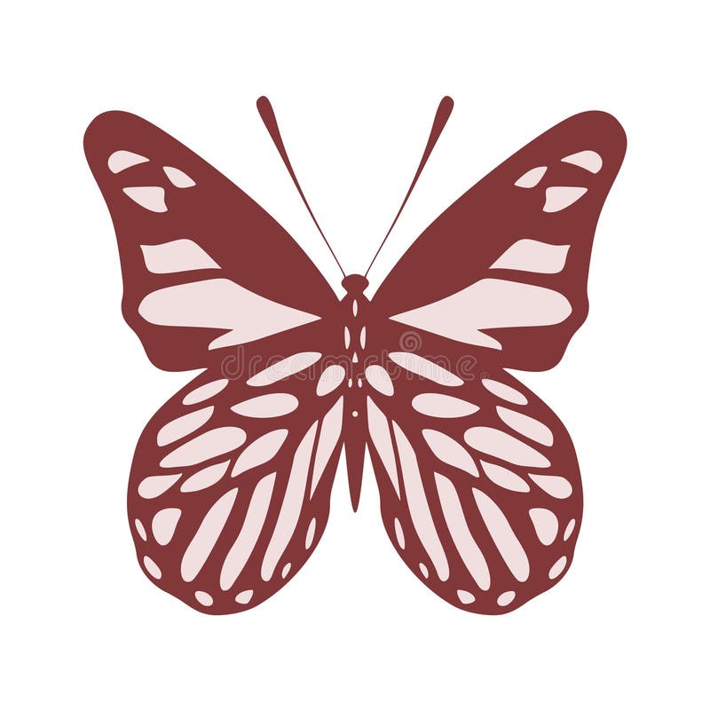 Design of butterfly draw stock vector. Illustration of draw - 337830850