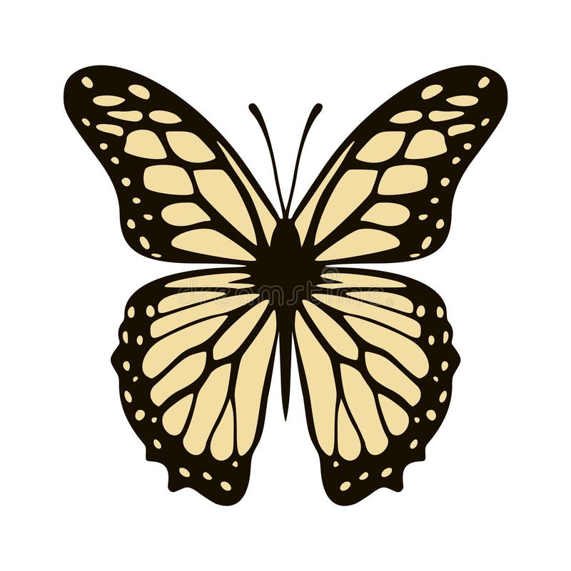 Design of butterfly draw stock vector. Illustration of draw - 337830926