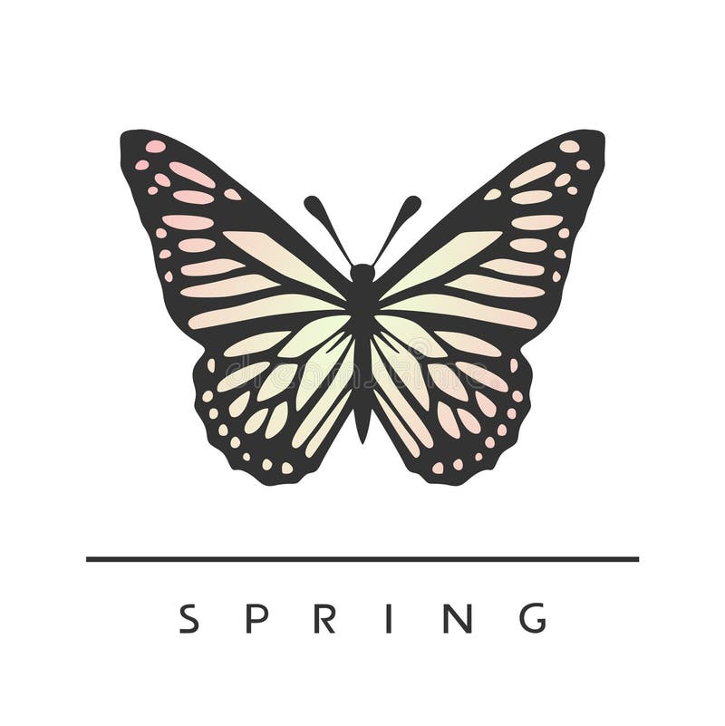 Design of butterfly draw stock vector. Illustration of graphic - 349985176