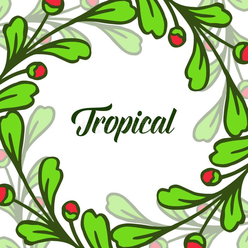 Design Card Tropical with Leaves and Flower Frame, White Background ...