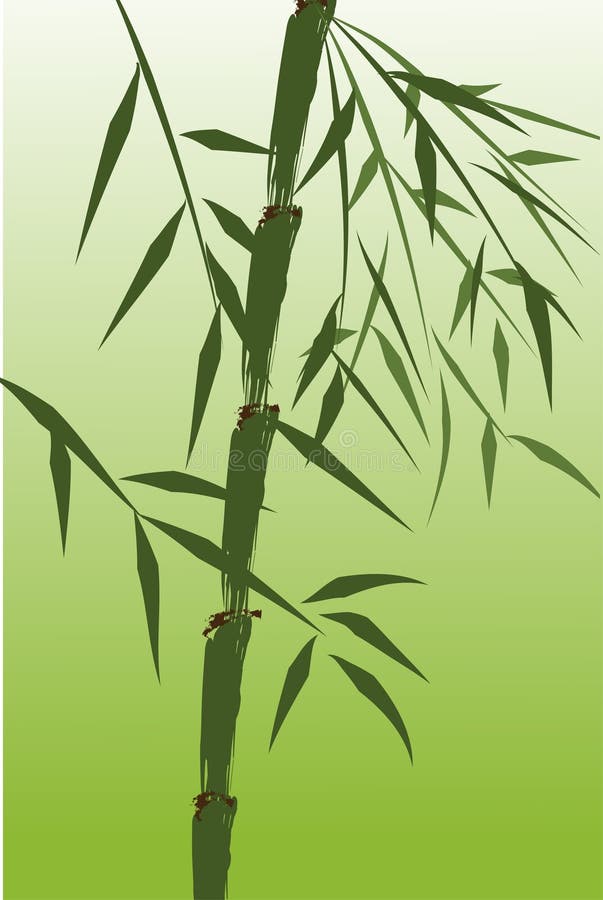 Design of Chinese Bamboo Trees Stock Vector - Illustration of ...