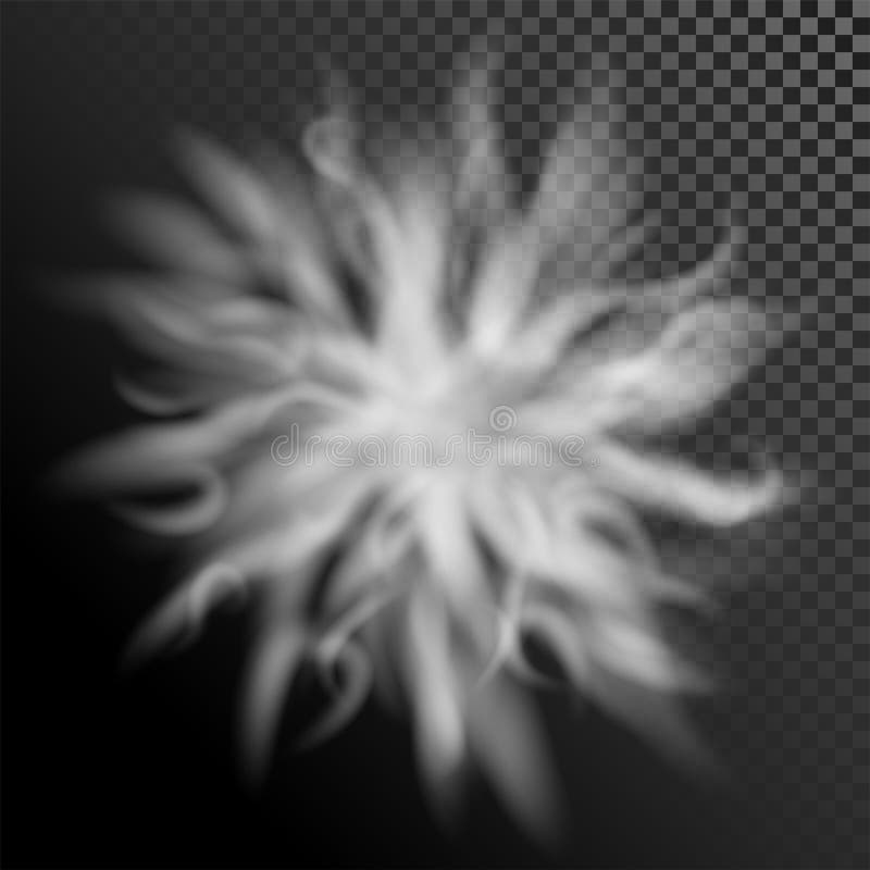 Transparent White Vector Fog Stock Vector - Illustration of element ...