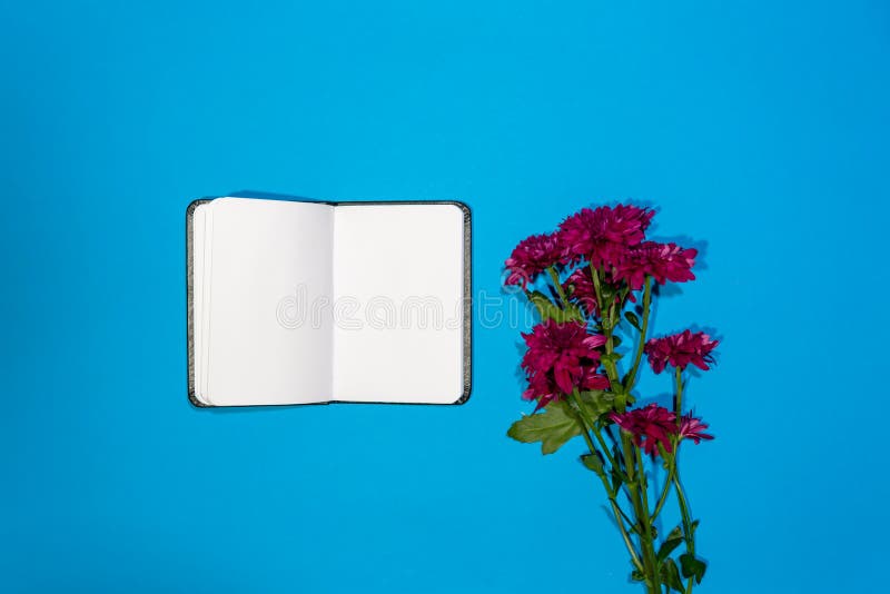 Design Concept - Top View of Notebook and Spring Flowers Isolated on ...
