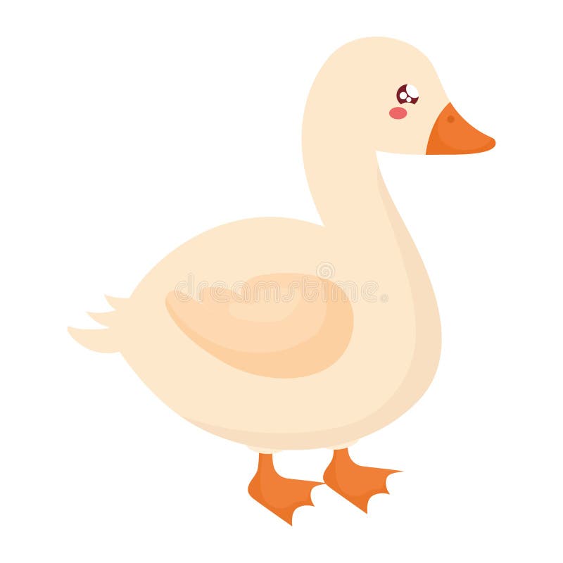 Design de pato kawaii ilustração do vetor. Ilustração de pena - 247680778