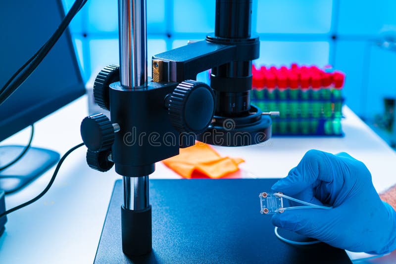 Design Development Lab on Chip Device in Microfluidic Lab Stock Image ...