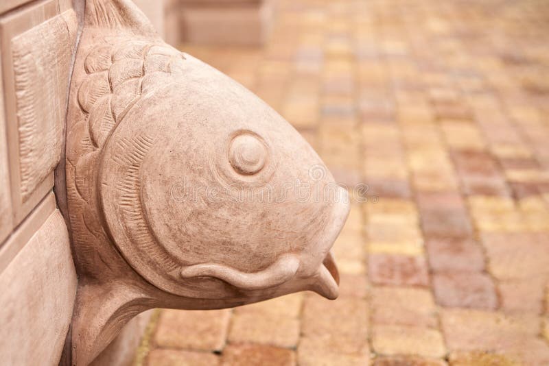 The Design of the Drainpipe of the Building in the Form of a Fish Head ...