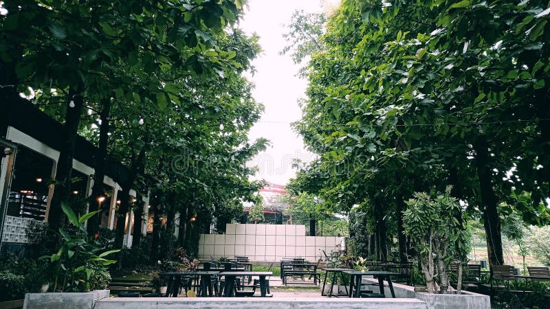 A Design of a Dry Park in a Cafe Stock Image - Image of backyard ...