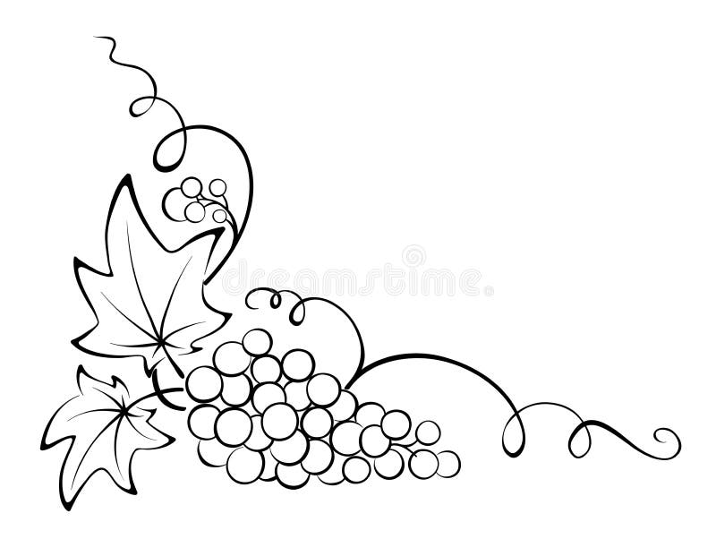 Design element - Grapevine stock vector. Illustration of backgrounds ...