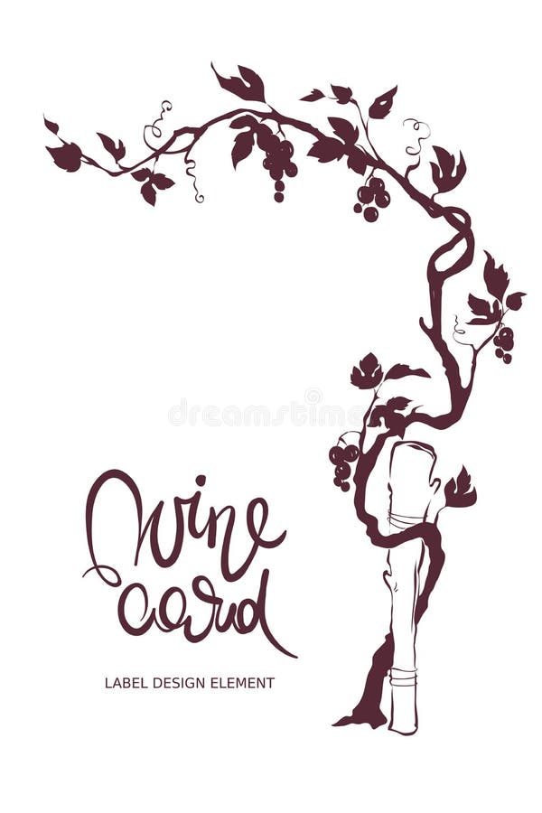 Grapevine Graphic Stock Illustrations – 5,208 Grapevine Graphic Stock ...