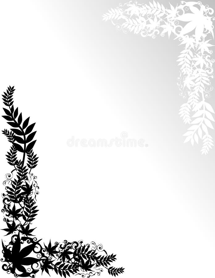 Fern Border stock illustration. Illustration of graphics - 5538904