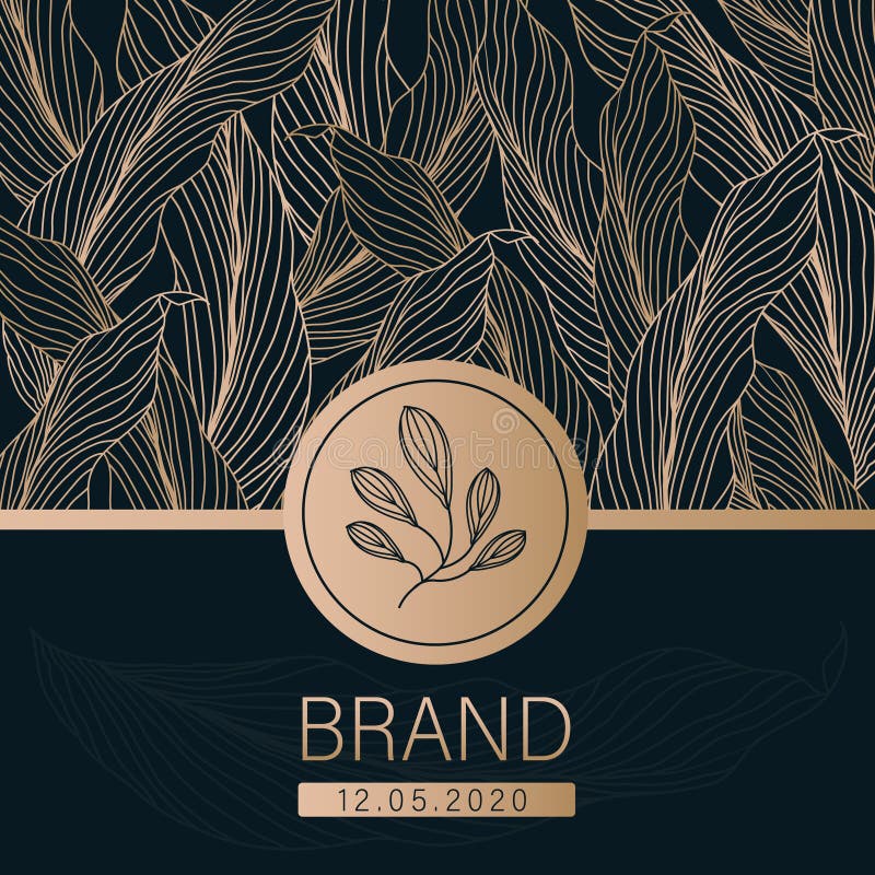 Design Elements, Frames, for Logo, Packaging, Design of Luxury Products ...