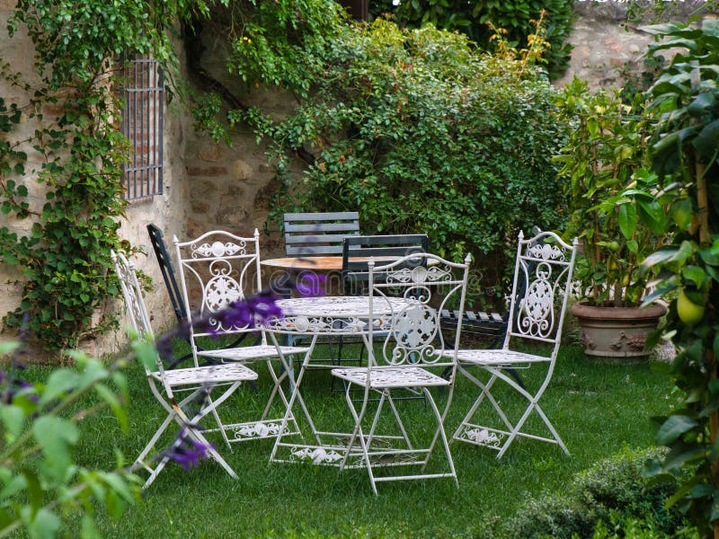 Design Elements of the Green Zone in the Garden Stock Photo - Image of ...