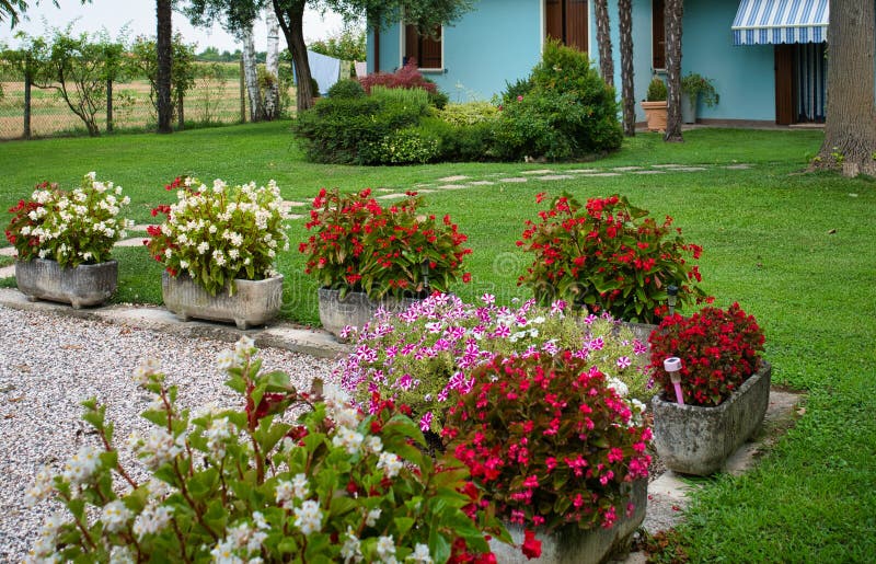 Design Elements of the Green Zone in the Garden Stock Photo - Image of ...