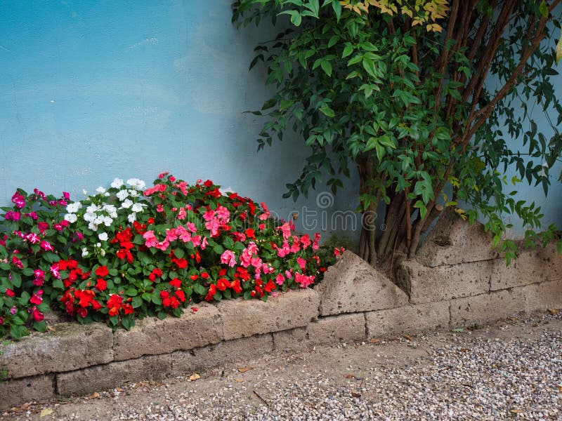 Design Elements of the Green Zone in the Garden Stock Photo - Image of ...