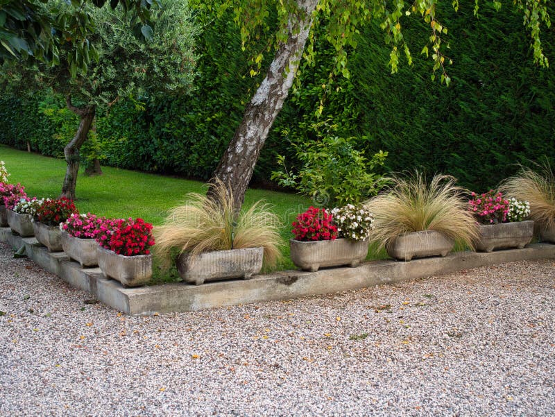 Design Elements of the Green Zone in the Garden Stock Image - Image of ...