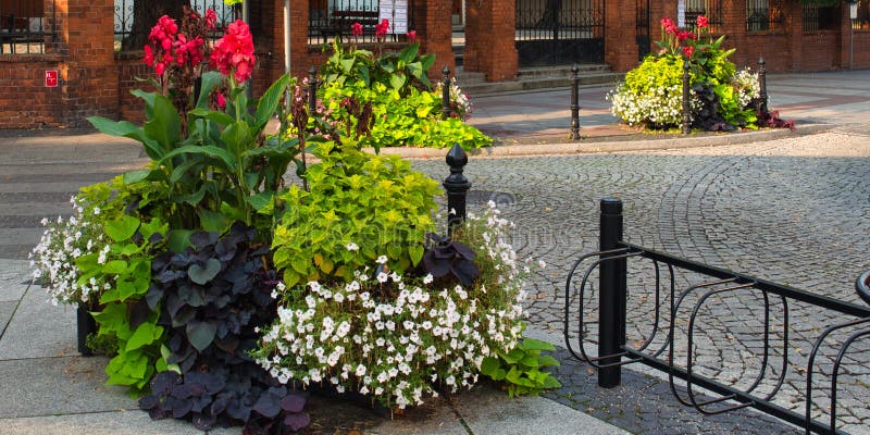 Design Elements of the Green Zone in the Garden Stock Image - Image of ...