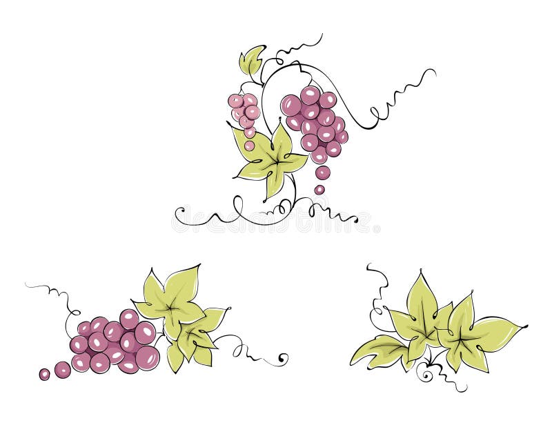 Corner Grapevine Stock Illustrations – 114 Corner Grapevine Stock ...