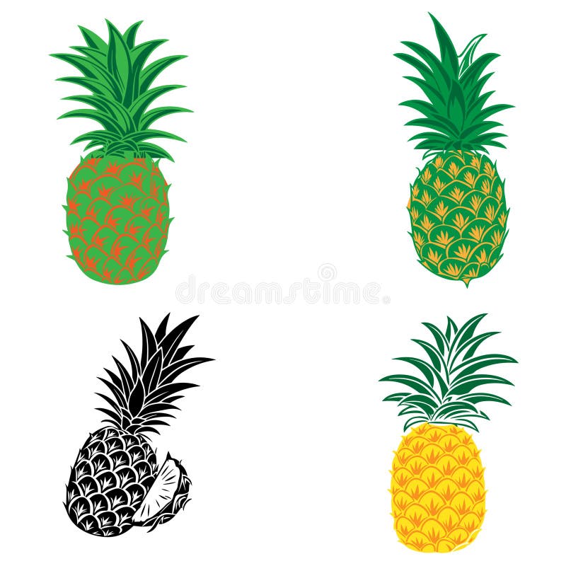 Vibrant Pineapple Vector Illustrations Tropical Fruit Art Design Stock ...