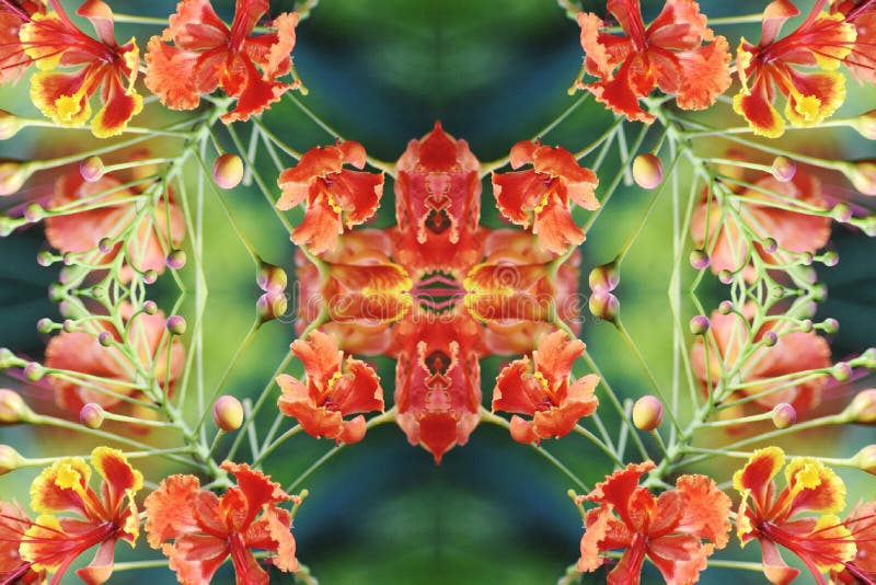 A Design with Flower for Tiles Stock Illustration - Illustration of ...