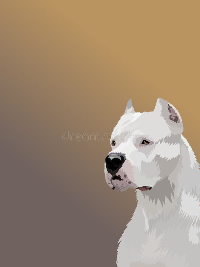 Design Graphic Cute White Dogs. Stock Illustration - Illustration of ...