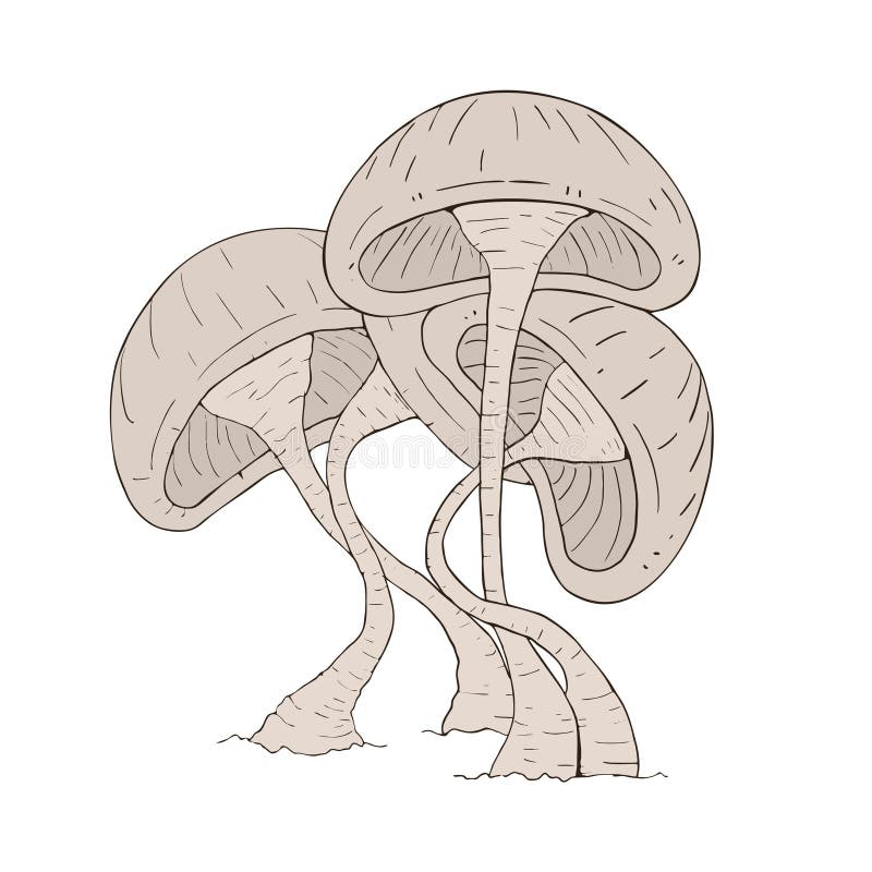 Design of mushrooms hand stock vector. Illustration of organic - 290278599