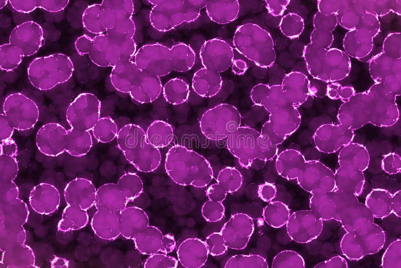 Design Nice Pink Huge Amount of Bio Unicellulars Cg Background or ...