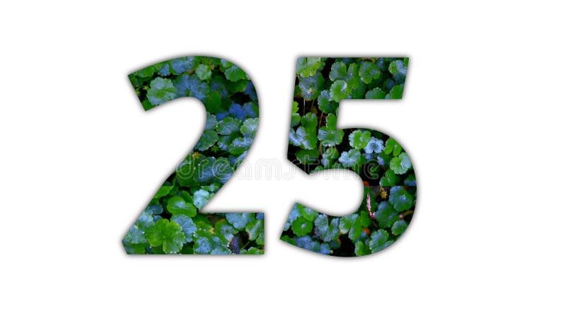 Design Number 25 with Leaf Texture on White Background Stock Photo ...