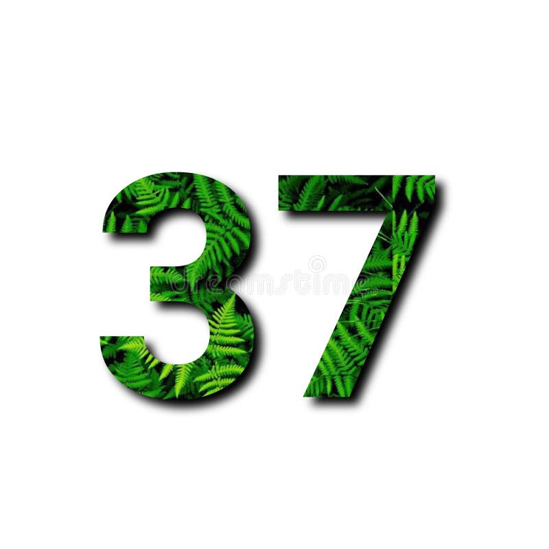 Design Number 37 with Leaf Texture on White Background. Stock ...
